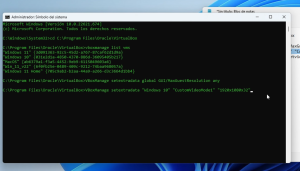 Cómo Poner VirtualBox en Pantalla Completa - TecnoRed.org