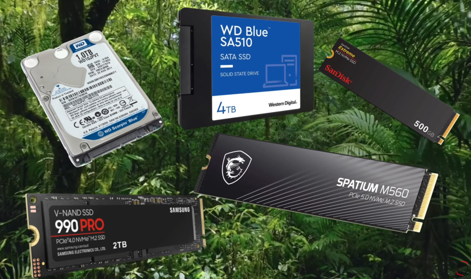 Guía Completa para Elegir un SSD en 2025: Diferencias entre SATA, M.2 y ...