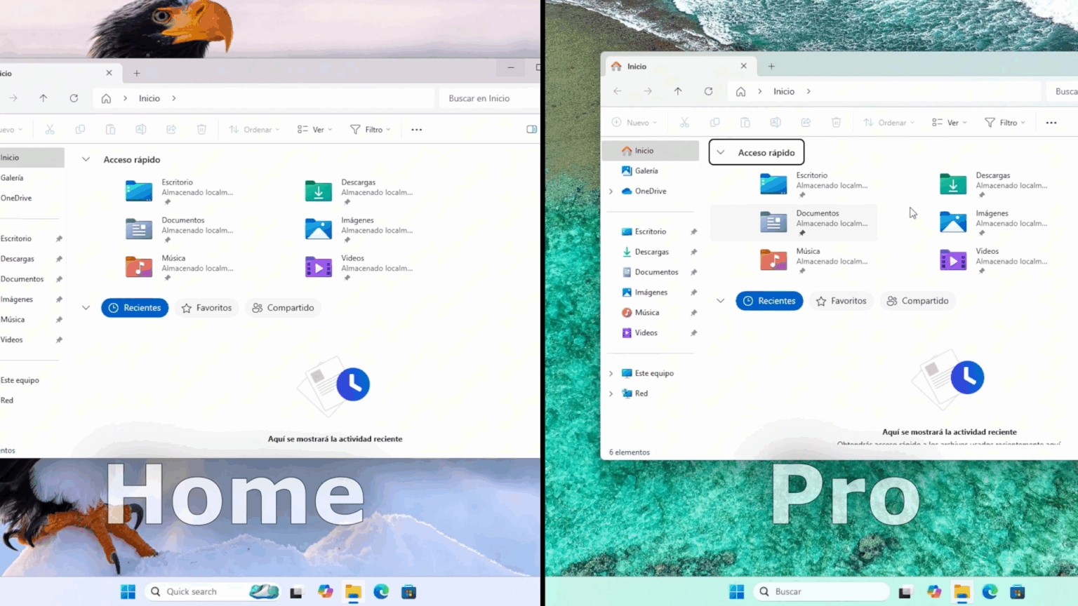 Windows 11 Home vs Windows 11 Pro: ¿Cuál es mejor para ti? - TecnoRed.org